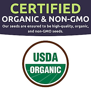 Organic English Thyme Seeds – Seed Packet of Over 8000 Open Pollinated Non-GMO Seeds – Sweet Yards Seed Co.