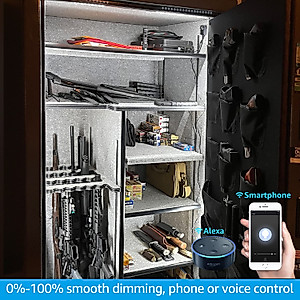 TORCHSTAR Voice Control Smart LED Safe Lighting Kit, (4) 12 Inch Dimmable Linkable Light Bars, Compatible with Alexa&Rocker Switch, 100-240V UL Power Adapter 900LM for Under Cabinet, 5000K Daylight