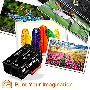Run Star Remanufactured 273XL Ink Cartridge Replacement for Epson 273XL T273XL T273XL120 Used in Expression XP520 XP600 XP610 XP620 XP800 XP810 XP820, 2 Black