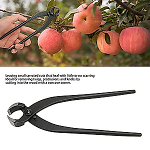 MIGONG Bonsai Knob Cutter, Professional Branch Cutter Manganese Branch Cutting Tool for Even Flowers Fruit Trees Bonsai Garden Plants House Plants 8.3In