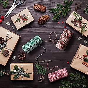 Twine String,328 Feet Christmas Twines White Gold Rope Bakers String Rope Craft Making Knitting Butchers Twine DIY packing, room decoration(White and gold)