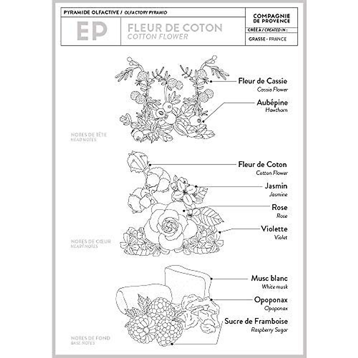 Compagnie de Provence Savon de Marseille Extra Pure Liquid Soap - Cotton Flower - 16.7 Fl Oz Glass Pump Bottle