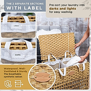 BeeDaul Laundry Hamper 2 Section with Lid, Wheels Made of Synthetic Rattan - Includes 2 Removable Mesh Laundry Bags, Foldable, with Handle - Laundry Sorter and Organizer, Bathroom Essentials
