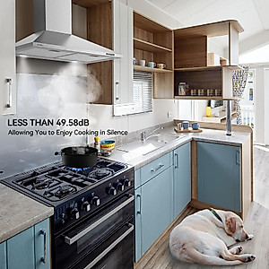 Hermitlux Range Hood 30 inch Stainless Steel, Wall Mount Vent Hood for Kitchen with Charcoal Filter, Ducted/Ductless Convertible