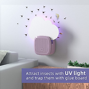 Careland Plug in Fly Traps for Indoors Electric Flying Insect Trap Gnat Killer for Home - Catch Fruit Flies, Mosquitoes, Gnats, Moths & Other Insects with UV Light and Sticky Board (Purple 2pack)