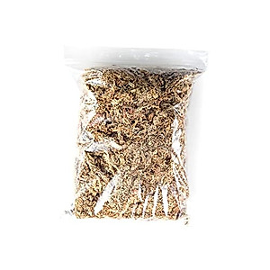 Josh's Frogs Bioactive ABG Substrate Vivarium Bundle- Extra Small