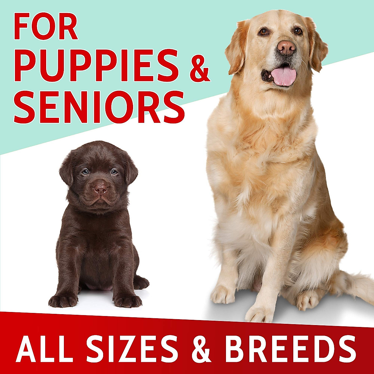 Pawfect Dog Allergy Relief Chews - Anti-Itch Skin Coat Supplement - Itchy Skin Relief Treatment Pills w/ Omega 3 Fish Oil - Itching & Paw Licking - Dry Skin & Hot Spots - 120 Immune Treats - Bacon