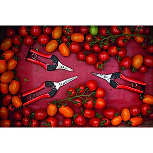 FELCO FELCO322 Model 322 Snips, Red