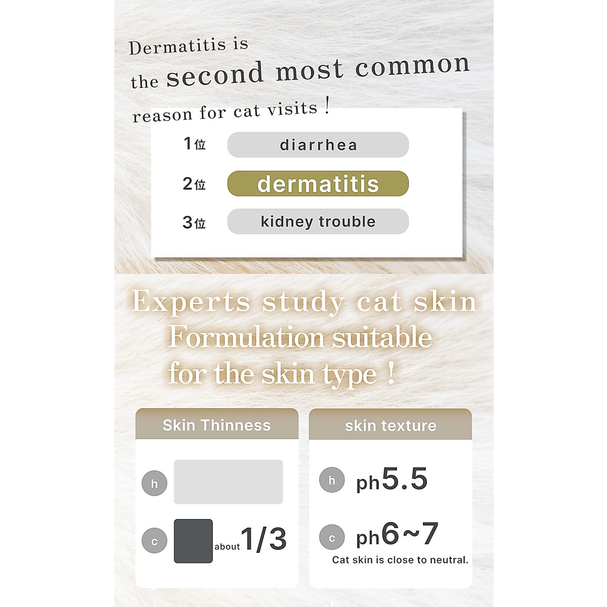 [Veterinarian and Pharmacist Supervision] MEDICAT Grooming Spray for Cats Scent Free Paw Pimples Brushing Dandruff Itchy Skin Roughness Dry Disinfectant Hair Loss Static Deodorant Moisturizer