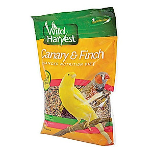Wild Harvest B12492Q-001 Canary and Finch Food Blend, One Size,2.17 pound