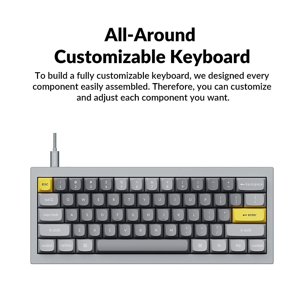 Keychron Q4 Wired Custom Mechanical Keyboard, QMK/VIA Programmable Macro, Full Aluminum, Hot-Swappable Gateron G Pro Red Switch, 60% Layout Double Gasket Compatible with Mac and Windows - Gray