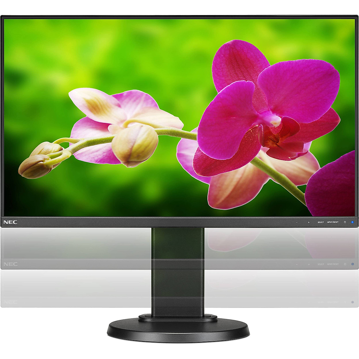 NEC 24INCH Narrow Bezel Desktop Monitor W/IPS Panel, Integrated Speakers and LED BA