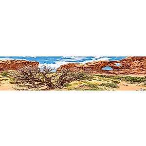 Carolina Custom Cages Reptile Habitat Background; Double Arch with Tree, for 48Lx24Wx24H Terrarium, 3-Sided Wraparound