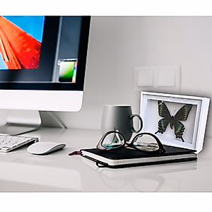 CXUEMH 2 Pcs Framed Butterfly Real Butterfly Specimens Taxidermy Butterfly in Frame Insect Collection Home & Office Desktop Decor Craft Gift for Men Women (Color A)