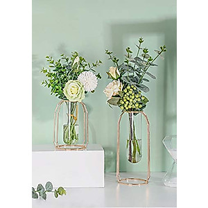 FSyueyun Desktop Glass Vase with Metal Frame，Modern Creative Hydroponics Vase Metal Flower Planter Terrariums Plant Glass-Gold (6.3Inch)