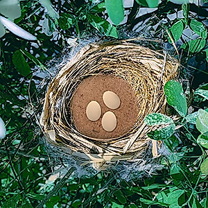 POPETPOP Pigeon Nest Mat Nesting Pads: 10PCS Bird Nesting Materials Bird Breeding Nest Bird Eggs Mat Coconut Fiber Substrate Bird Nest