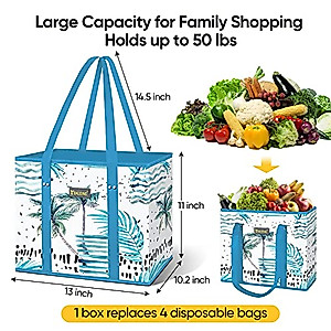 BALEINE 3Pk Reusable Grocery Bags, Foldable Shopping Bags for Groceries with Reinforced Bottom & Handles (Island Breeze)