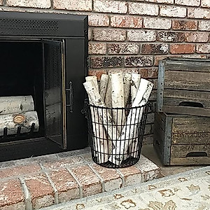 Wilson 15.5"-17.5" Decorative White Birch Logs, Natural Bark Wood Home Décor - 1.5"-3" Dia. (Set of 8)