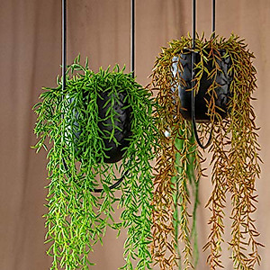 RISEON Boho Black Metal Plant Hanger,Metal Wall and Ceiling Hanging Planter, Modern Planter, Mid Century Flower Pot Plant Holder, Minimalist Planter for Indoor Outdoor Home Decor