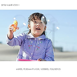 Sony / APS-C / Alpha 6400 / High Magnification Zoom Lens Kit (Included Lens: SEL18135) / Black / ILCE-6400M