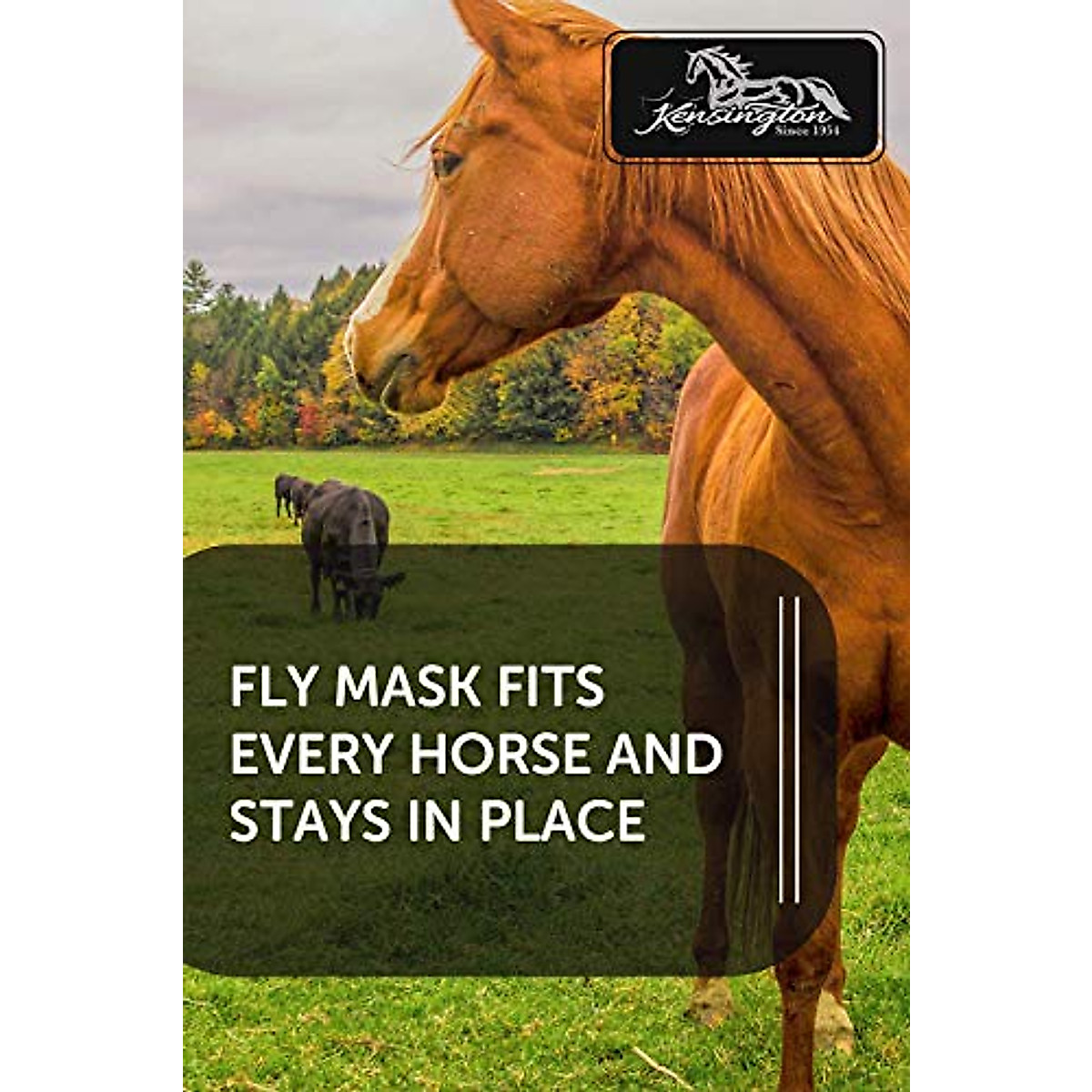 Kensington Fly Mask with Fleece Trim for Horses — Protects Face and Eyes From Flies and UV Rays While Allowing Full Visibility — Breathable and Non Heat Transferring Makes it Perfect Year Round, Large, Deluxe Black Plaid