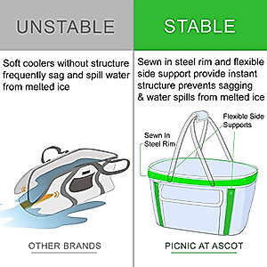 Picnic at Ascot Patented Insulated Folding Picnic Basket Cooler- Designed & Quality Approved in the USA