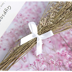 HAPY SHOP 100 PCS Cute Satin Ribbon Twist Tie Bows,3 Inches for Bakery Candy Lollipop Cello Bag,White