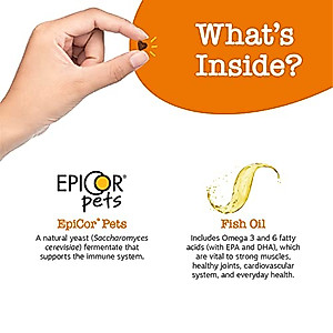 Zesty Paws Training Treats for Dogs & Puppies - Hip, Joint & Muscle Health - Immune, Brain, Heart, Skin & Coat Support - Bites with Fish Oil with Omega 3 Fatty Acids with EPA & DHA - PB Flavor - 12oz…