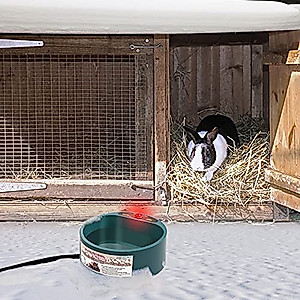 NAMSAN Heated Pet Bowl Outdoor Heated Dog Water Bowl Thermal-Bowl Livestock Heating Dish Provide Drinkable Water in Sub-Freezing Temperature for Cats, Chickens, Squirrels