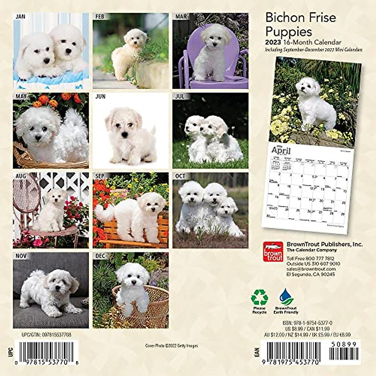 Bichon Frise Puppies | 2023 7 x 14 Inch Monthly Mini Wall Calendar | BrownTrout | Animals Dog Breeds Puppy DogDays