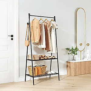 FANHAO Clothing Rack for Hanging Clothes, Sturdy Stainless Steel Clothes Rack with 2-Tier Shelf and 4 Hooks, Freestanding Garment Rack, Easy to Assemble Hanger Rack, Matte Black