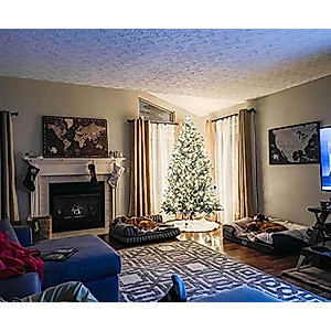 Conquest Maps World Travel Map with Pins Modern Slate Style Push Pin Travel Map Cork Board, Track Your Travels w/a Handmade Unique Canvas Pinable Map (36" x 24")