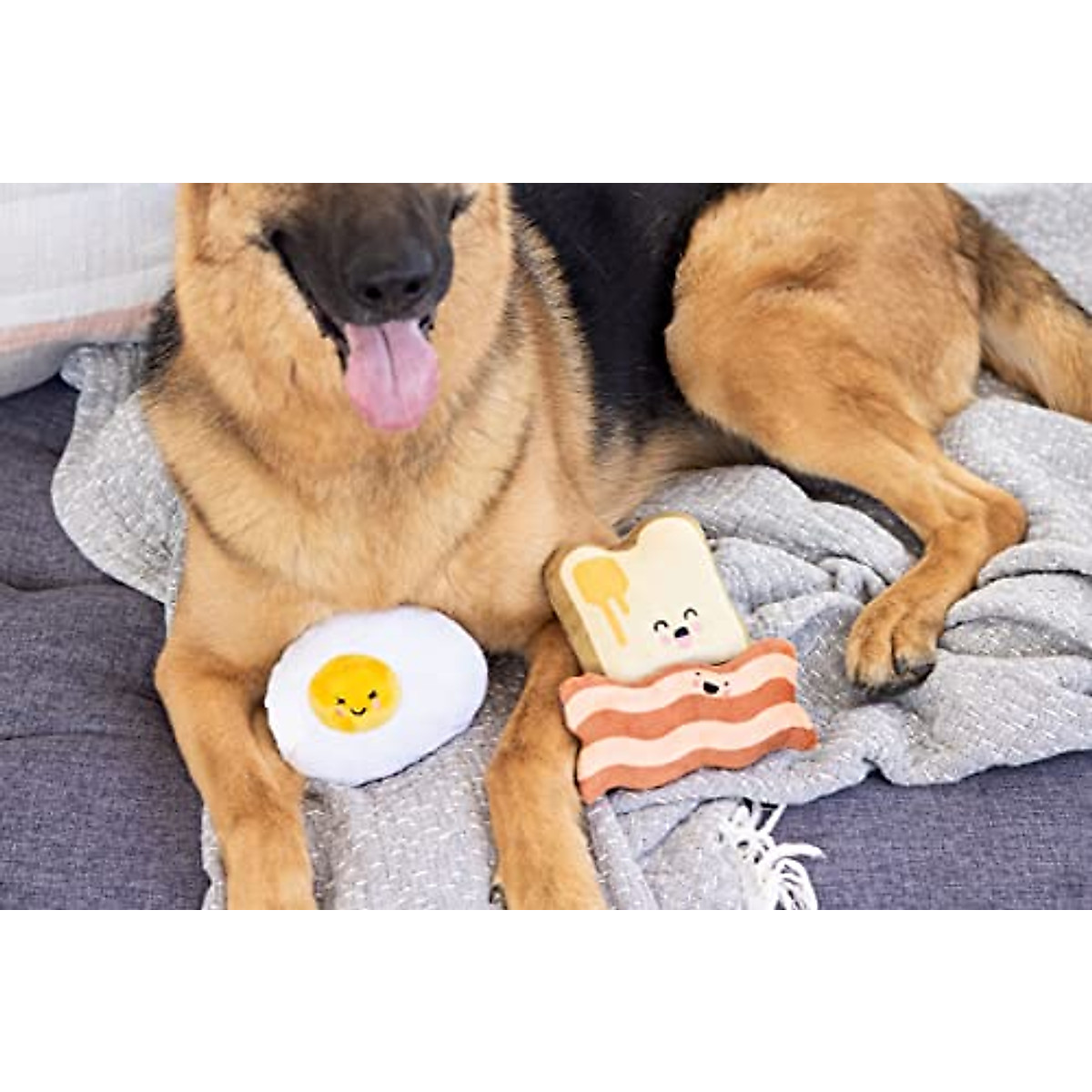 Pearhead Barkfast Dog Toys, Set of 3, Plush Pet Squeaker Toys, Breakfast Dog Toy Set, Toast Bacon & Egg Toy Set, Must Have Pet Accessories for Pet Owners