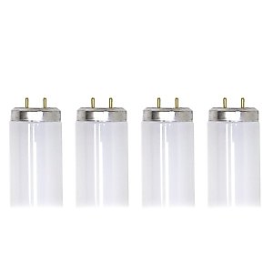 SYLVANIA (case of 4) Sylvania F20T12/DSW 23510, Designer Soft White 24 inch Fluorescent Tube