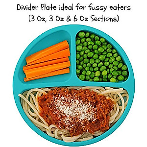 EVLA'S Baby Feeding Set, Baby Led Weaning Supplies, Adjustable Silicone Bibs, Divided Plate, Suction Bowl with Lid, Soft Spoons for Babies or Toddlers, Baby Registry must have!