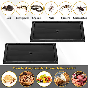 Qualirey 12 Pack Glue Traps for Rats and Snakes, Larger and Heavy Duty Baited Sticky Traps with Non Toxic Glue, Exterminator Plastic Mouse Indoor Board, Ready to Use, Safe to Children and Pets (Black)