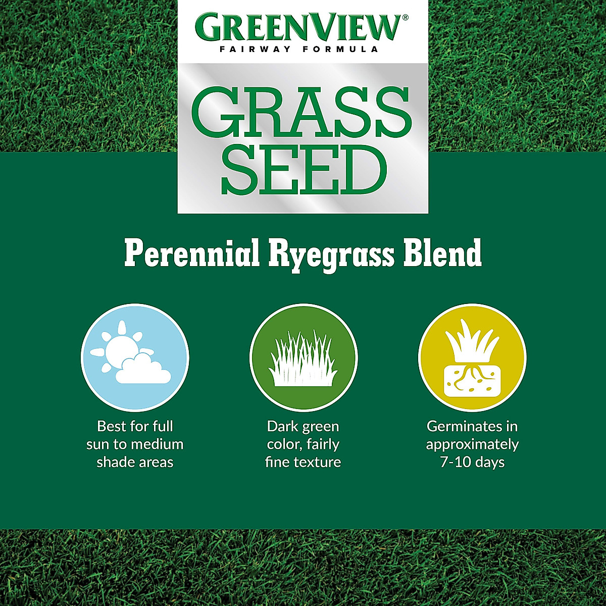 GreenView Fairway Formula Grass Seed Perennial Ryegrass Blend - 20 lb. Bag