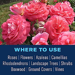 BioAdvanced Disease Control for Roses, Flowers and Shrubs, Concentrate, 32 oz