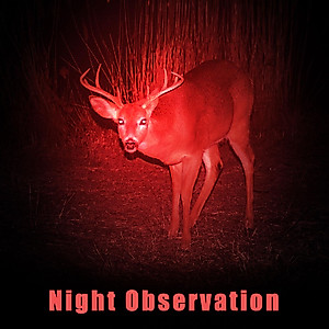 Honoson 4 Pieces Red Flashlight LED Single Mode Light One Mode LED Torch Scalable Red Light Flashlight for Astronomy Aviation Night Observation