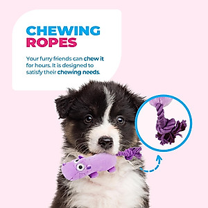 ALL FOR PAWS Ultrasonic Silent Squeaker Dog Toy, Quiet Puppy Toy Comfort Plush Toy Dog Cuddle Toys, Squeakerless Dog Toy with Cute Animal Designs, Ideal for Home and Office