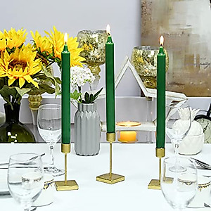 Zest Candle 12-Piece Taper Candles, 10-Inch, Hunter Green Straight