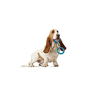 Petstages Orka Dental Links Dog Chew Toy