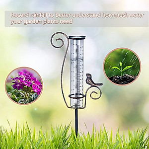 HOBYLUBY Rain Gauge Outdoor, 7 Inch Rain Gauges for Measuring Precipitation, Garden Yard Decor
