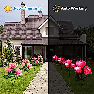 PINPON Outdoor Solar Flower Lights - 4 Pack Red Roses Lights Outdoor Garden Decorative with 16 Oversized Red Roses Flowers, 8 Modes Remote Control Switch for Garden, Lawn, Patio, Pond, Backyard