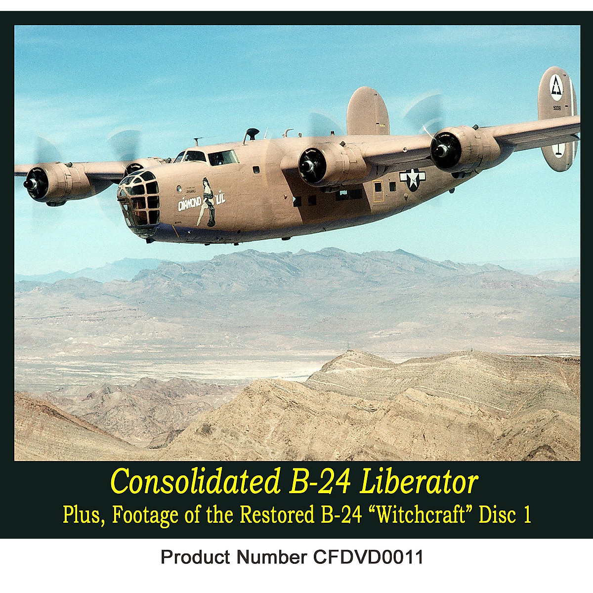 Air Force Consolidated B-24 Liberator WW2 Big Bomber old Films DVD