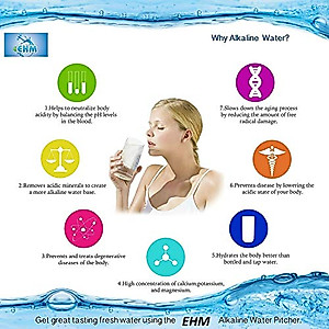 EHM Ultra SureFlow 2 Pack Filter Replacement Cartridge for EHM Ultra Premium Alkaline Mineral Water Ionizer Pitchers, Filters fits Ultra 3.5L, 3.8L Pitcher