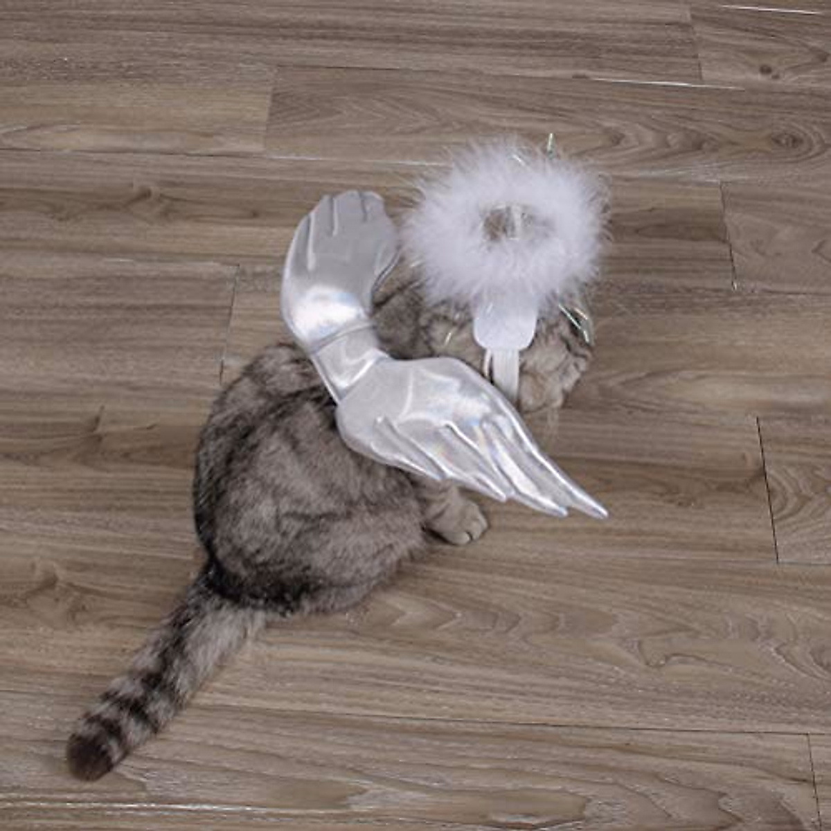 Baluue Halloween Pet Costume- Angel Halo and Wing Set, Pet Makeover Clothes Fancy Cosplay Party Costume for Dog Cat (White, S)