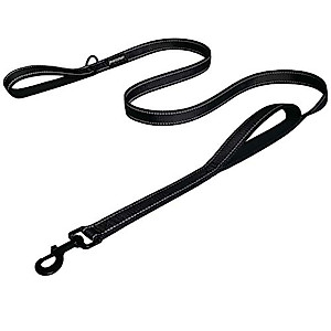 Heavy Duty Dog Leash - 2 Handles by Padded Traffic Handle for Extra Control, 6foot Long - Perfect for Medium to Large Dogs (6 ft, Black)