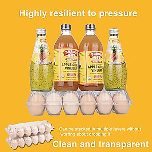 Gorander Clear Plastic Egg Carton for 12 Eggs,100 Packs Egg Tray Reusable Large Size Egg Cartons with Labels Perfect for Refrigerator Chicken Farm Markets（Large size）