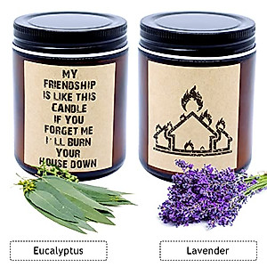 Funny My Friendship is Like This Candle Gift to Friends, Soy Wax Lavender, Eucalyptus Scented Candles to Best Friends